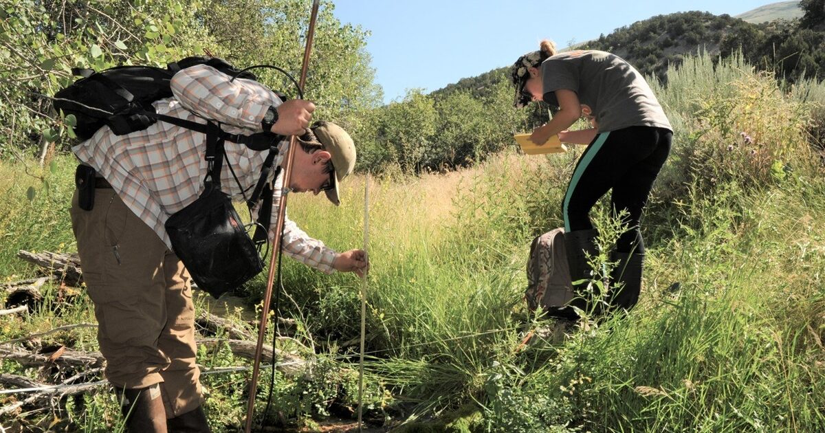 Grant Stories: Partners in Science Roundup | M.J. Murdock Charitable Trust